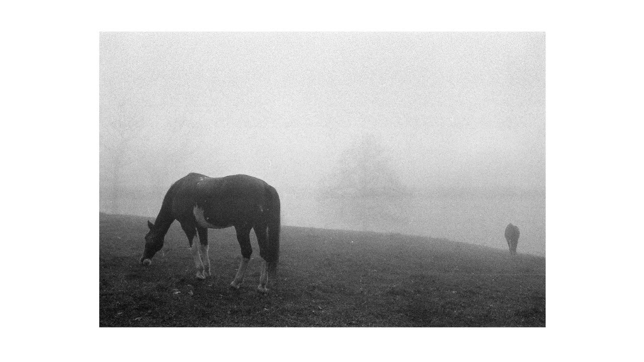 Nikon f50. Street photography. - YouTube