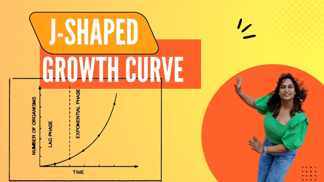 How J shaped Growth Curve Affect Population Dynamics Insect