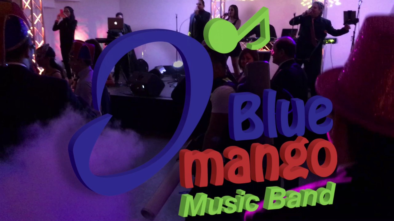 BODA CLUB UNION PANAMA - BLUE MANGO MUSIC BAND - YouTube
