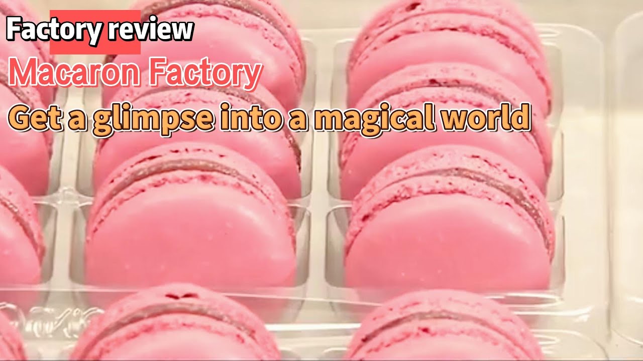 Behind the Scenes at the Macaron Factory! 🌈🍬 - YouTube