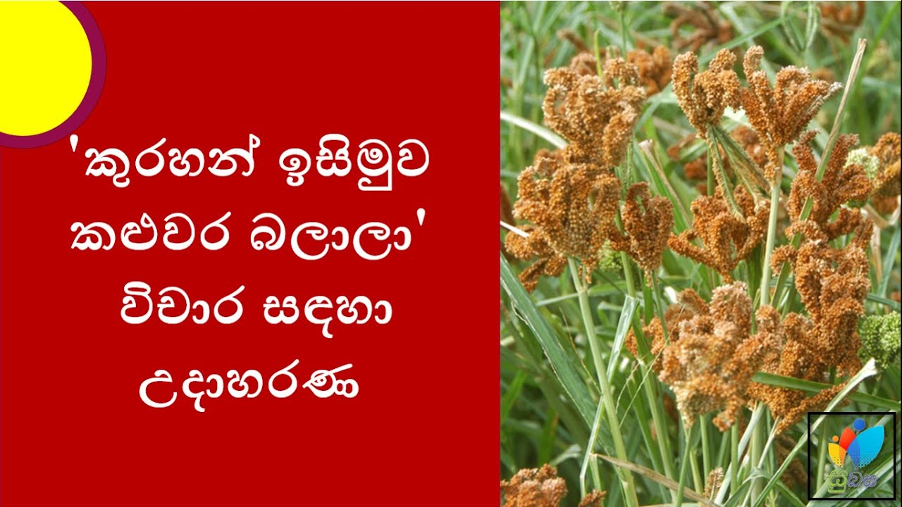 Sinhala Grade 11 - kurahan Isimuwa | කුරක්කන් කවි - YouTube