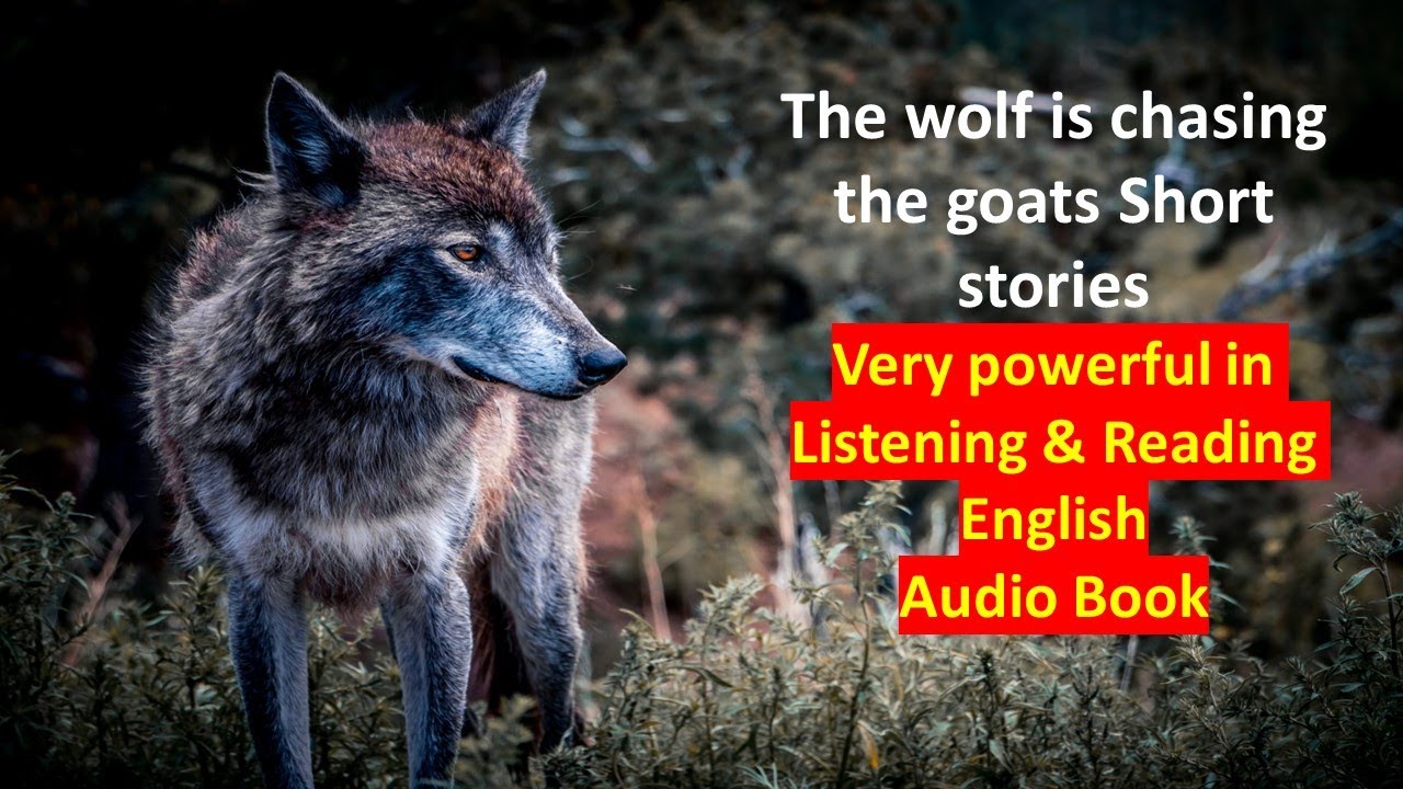 The wolf is chasing the goats | Short stories are very powerful in ...