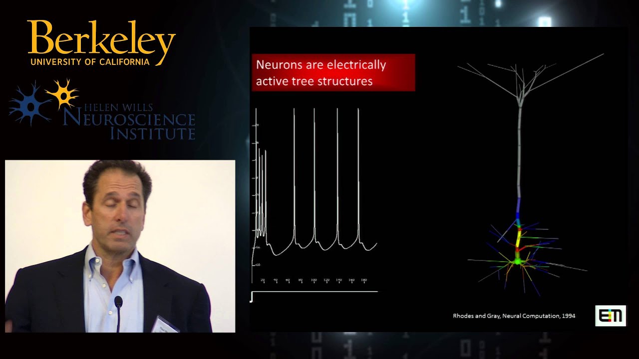 Paul Rhodes - YouTube