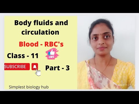 Body fluid and circulation | Blood | RBC's ( Erythrocytes) | class 11 ...