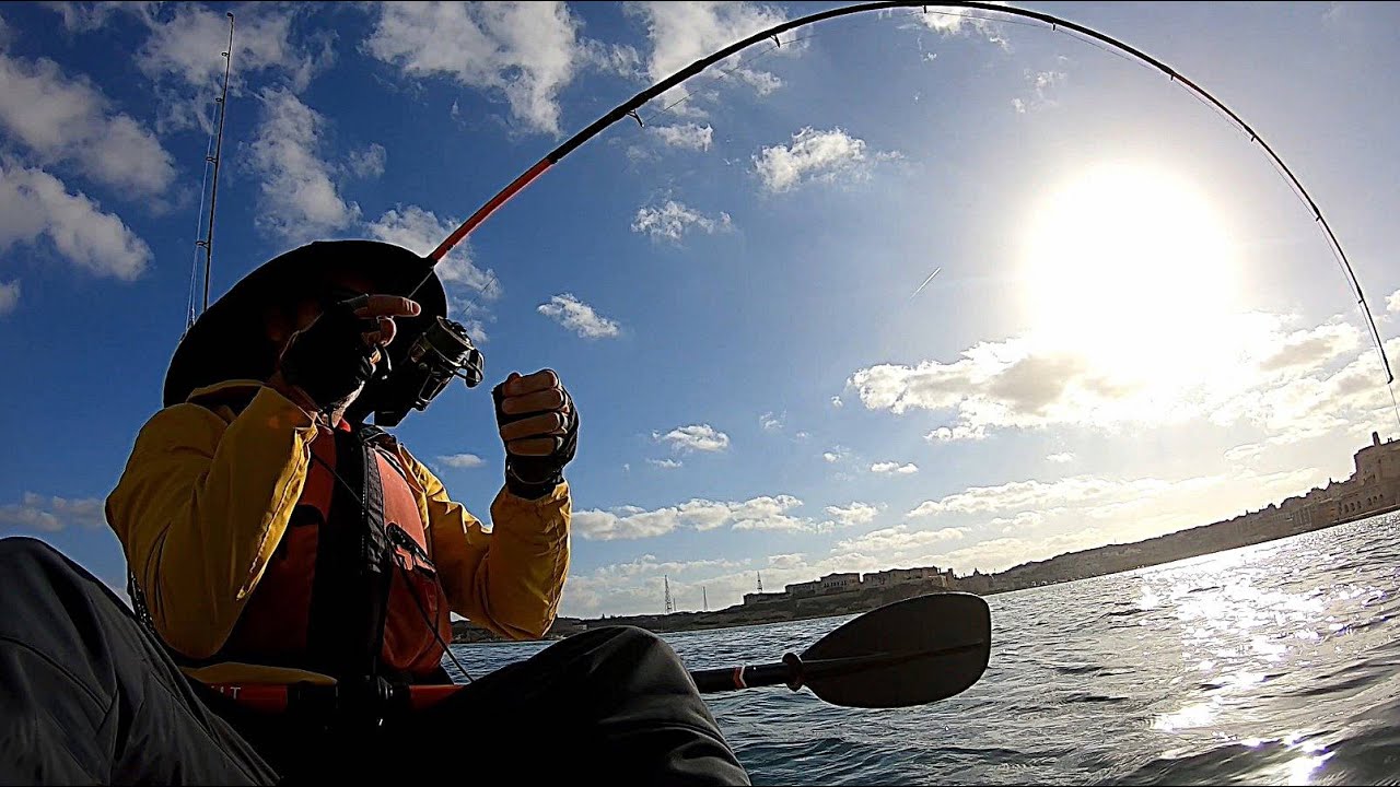 Bonus catch, a nice Amberjack (Acciola) to finish the year | Live ...