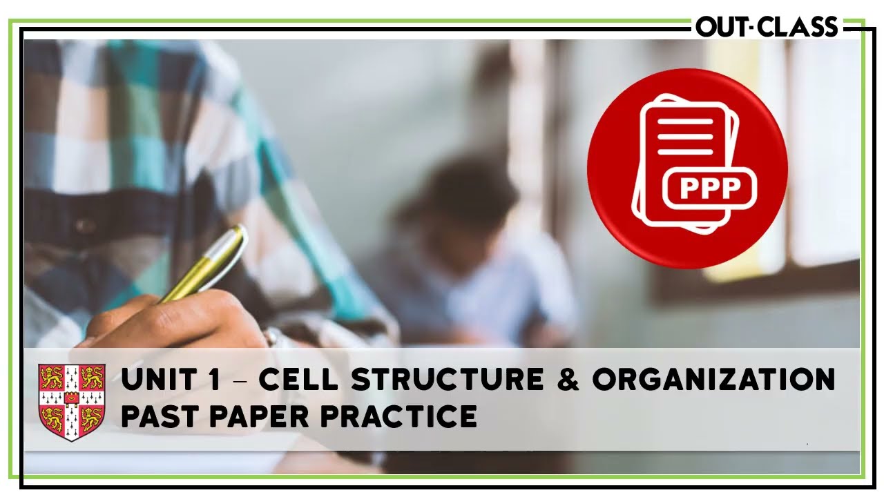 OUT-CLASS | O Level Biology | Cell Structures & Organization – Past ...