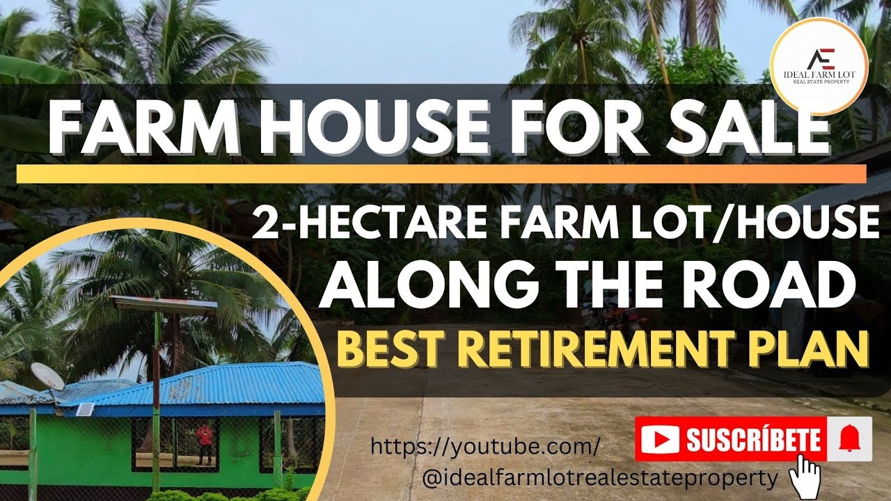 (Vlog#089) Farm house for sale. 2-hectare farm lot along the road w ...