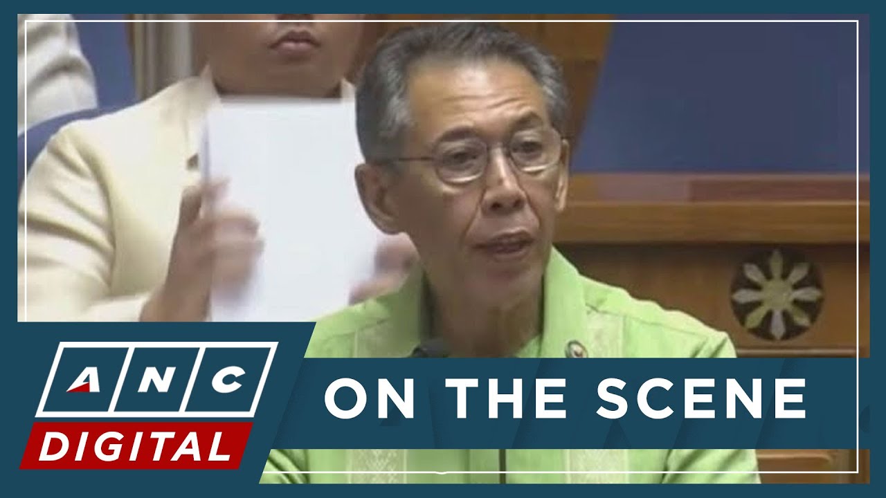 WATCH: Rep. Chel Diokno calls for zero unprogrammed funds in 2026 ...