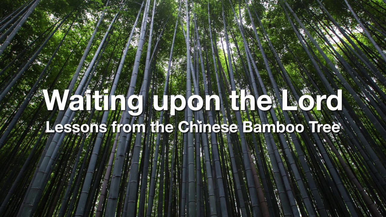 Waiting upon the Lord - Lessons from the Chinese Bamboo Tree - YouTube