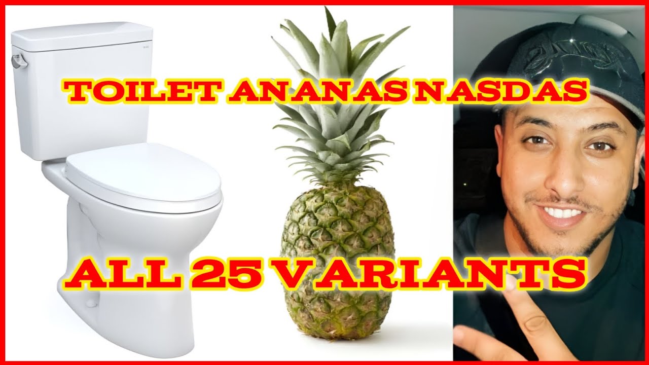 Toilet ananas nasdas meme All variants full version original #toilet # ...