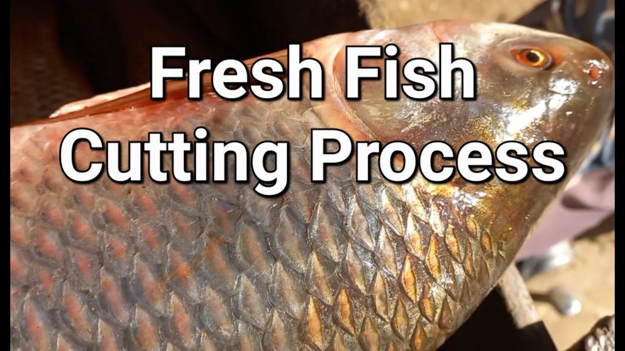 Fish Cutting Style | How to cut - YouTube