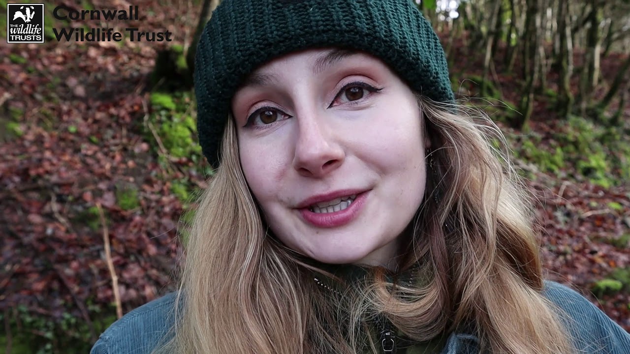 Emily Hardisty explores Cabilla & Redrice Woods Nature Reserve - YouTube