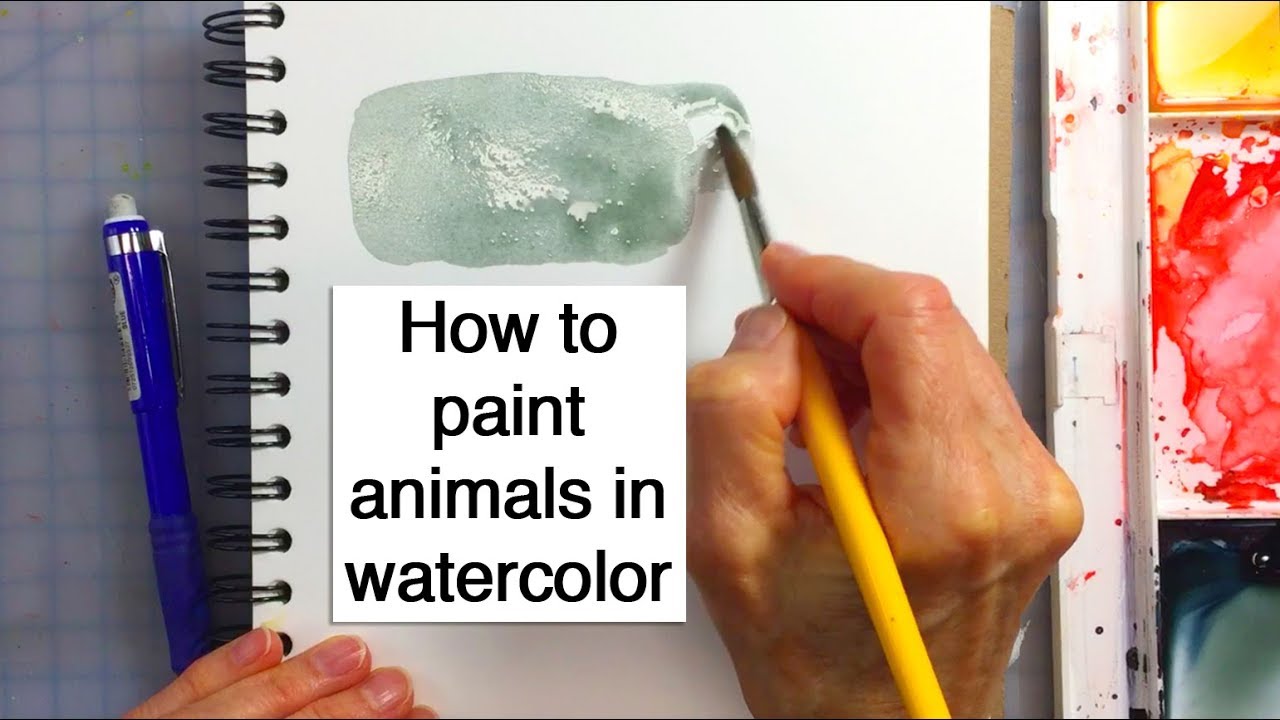 How to paint animals in watercolor. - YouTube