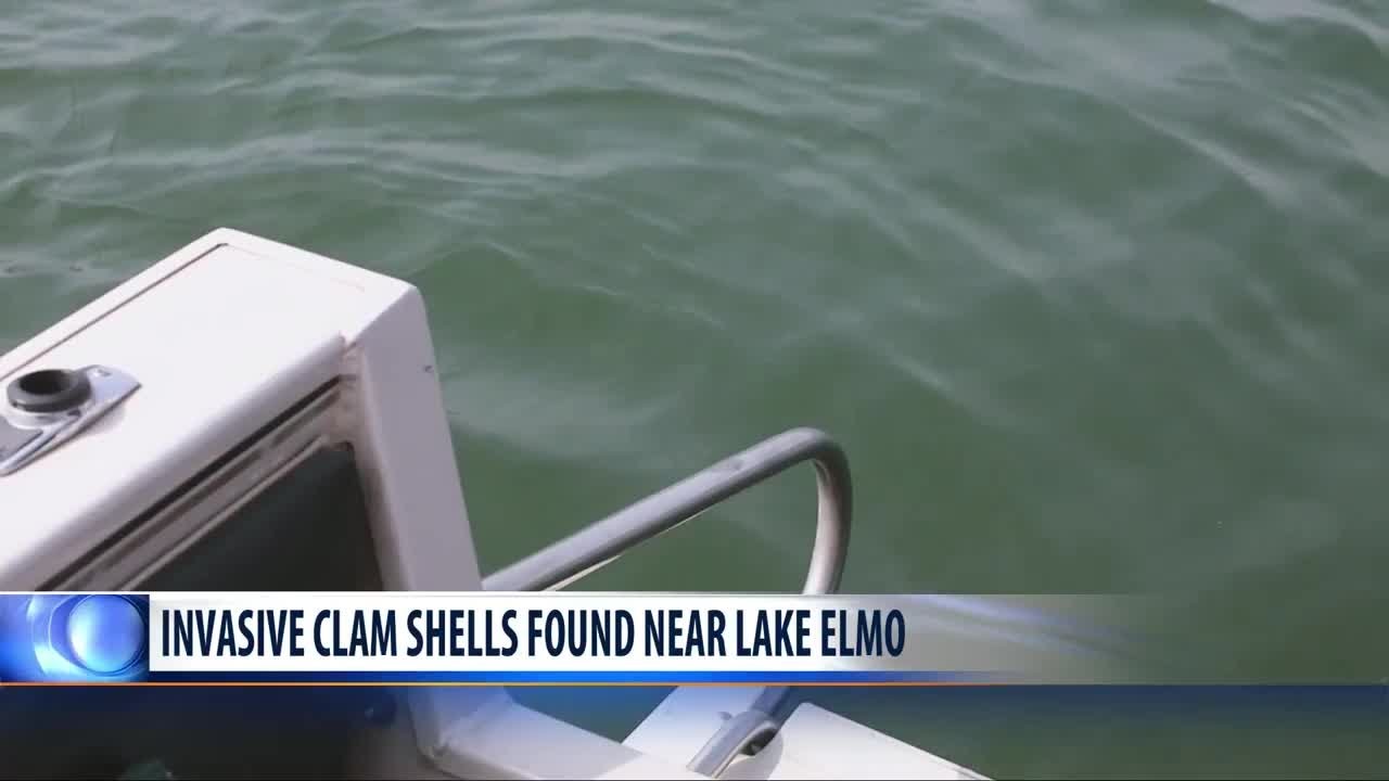 Invasive clam shells found near Lake Elmo in Billings - YouTube
