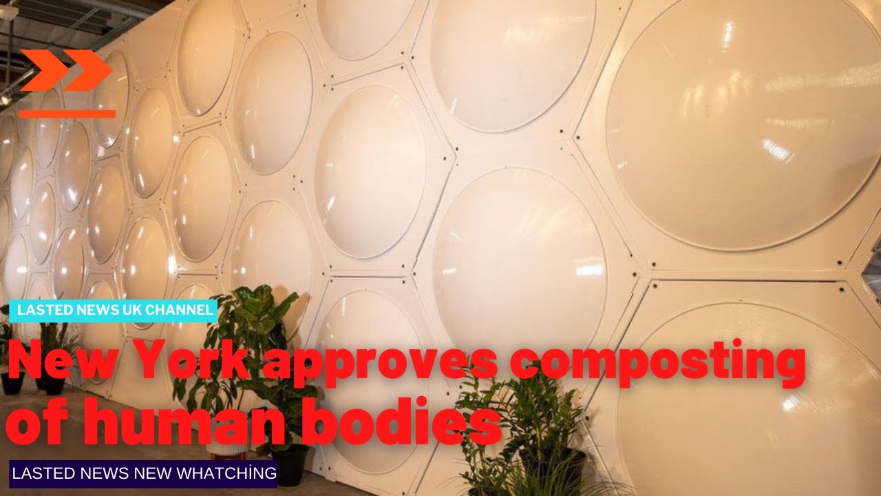 New York approves composting of human bodies - YouTube