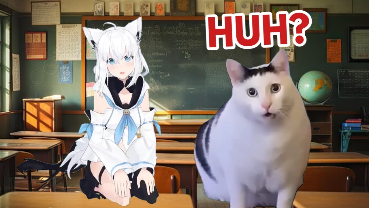 Cat Memes pt. 2 - YouTube