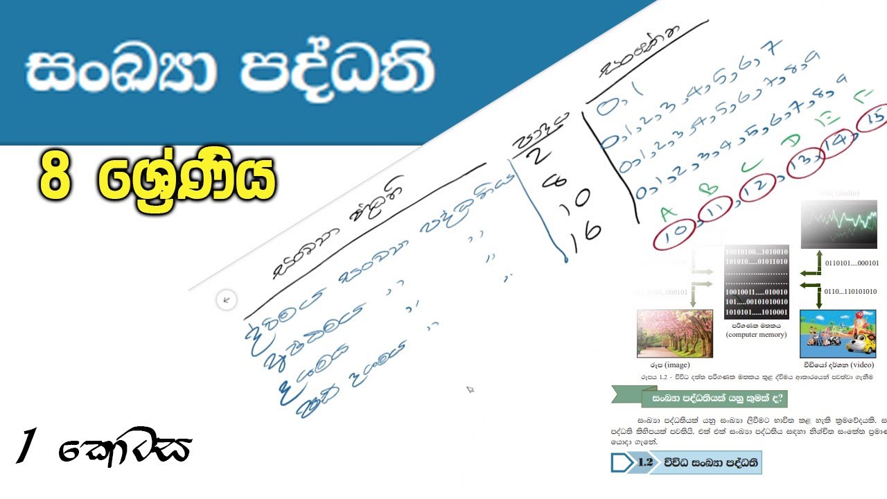 Number System Grade 8 Sinhala- Part 1 - YouTube
