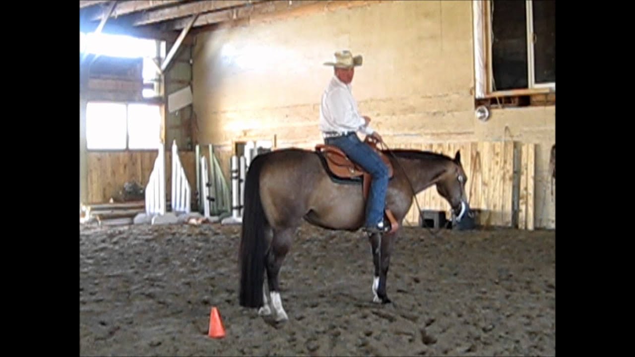 turning on the haunches and forehand - YouTube