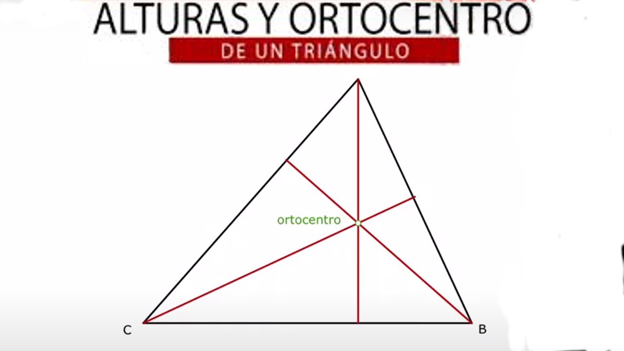 Ortocentro Blog Ortocentro