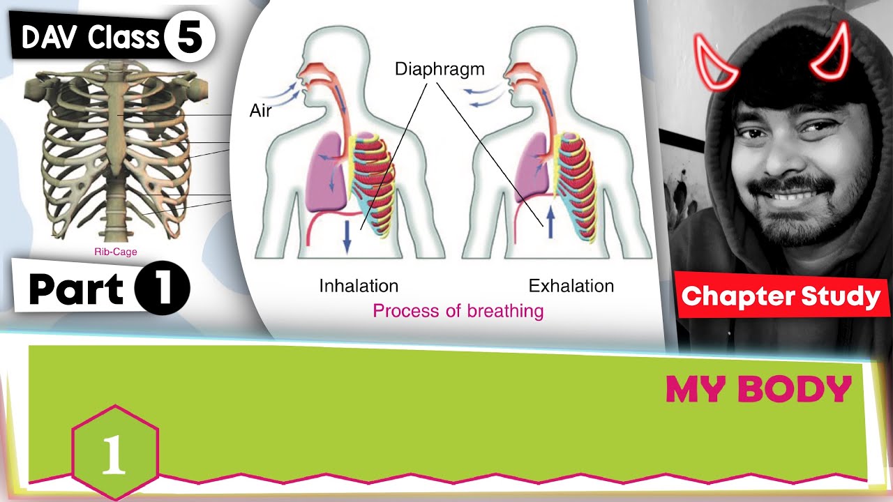 Chapter 1 | My Body | DAV Class 5 Science | Chapter Study (Part1) 🔥🔥🔥 ...