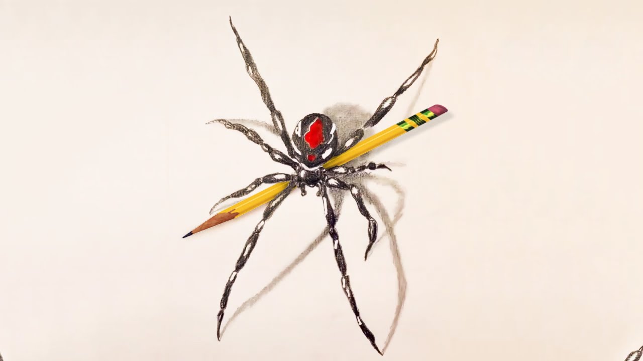 How to draw a 3d illusion spider #3dart #illusion #drawing - YouTube