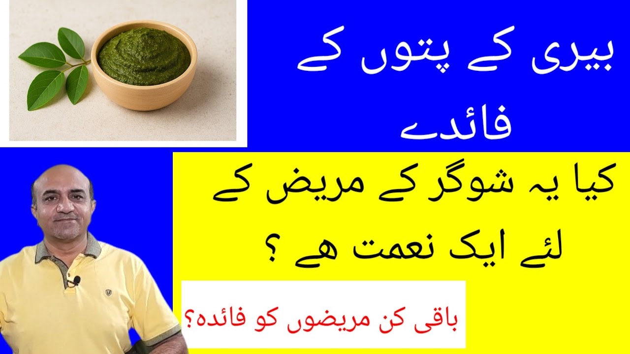 Sidr Leaves Health Benefits | بیری کے پتوں کے فائدے | Bair Kay Pattay ...