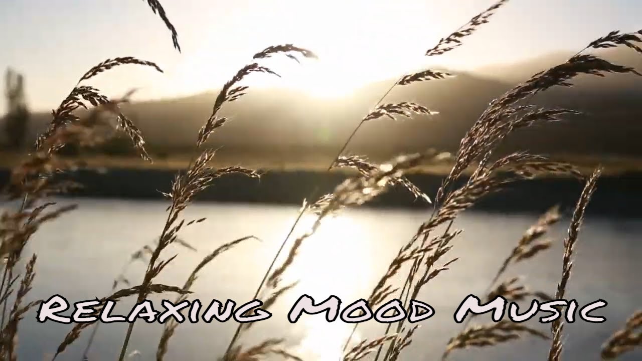 Relaxing Music for Sleep, Meditation, Mood music|| Soothing Music 🎶 ...