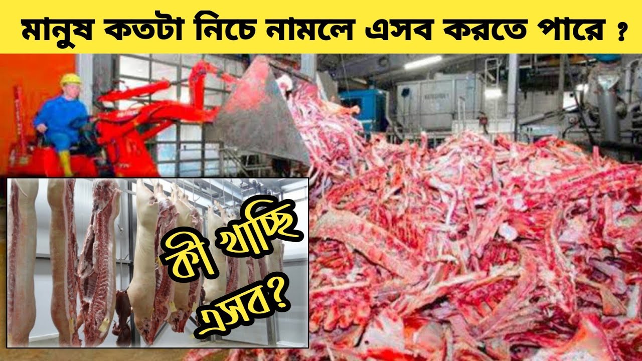 আপনার খাদ্যে বিষ থাকতে পারে!| Dog meat biryani| What we are eating | khadde vejal - YouTube