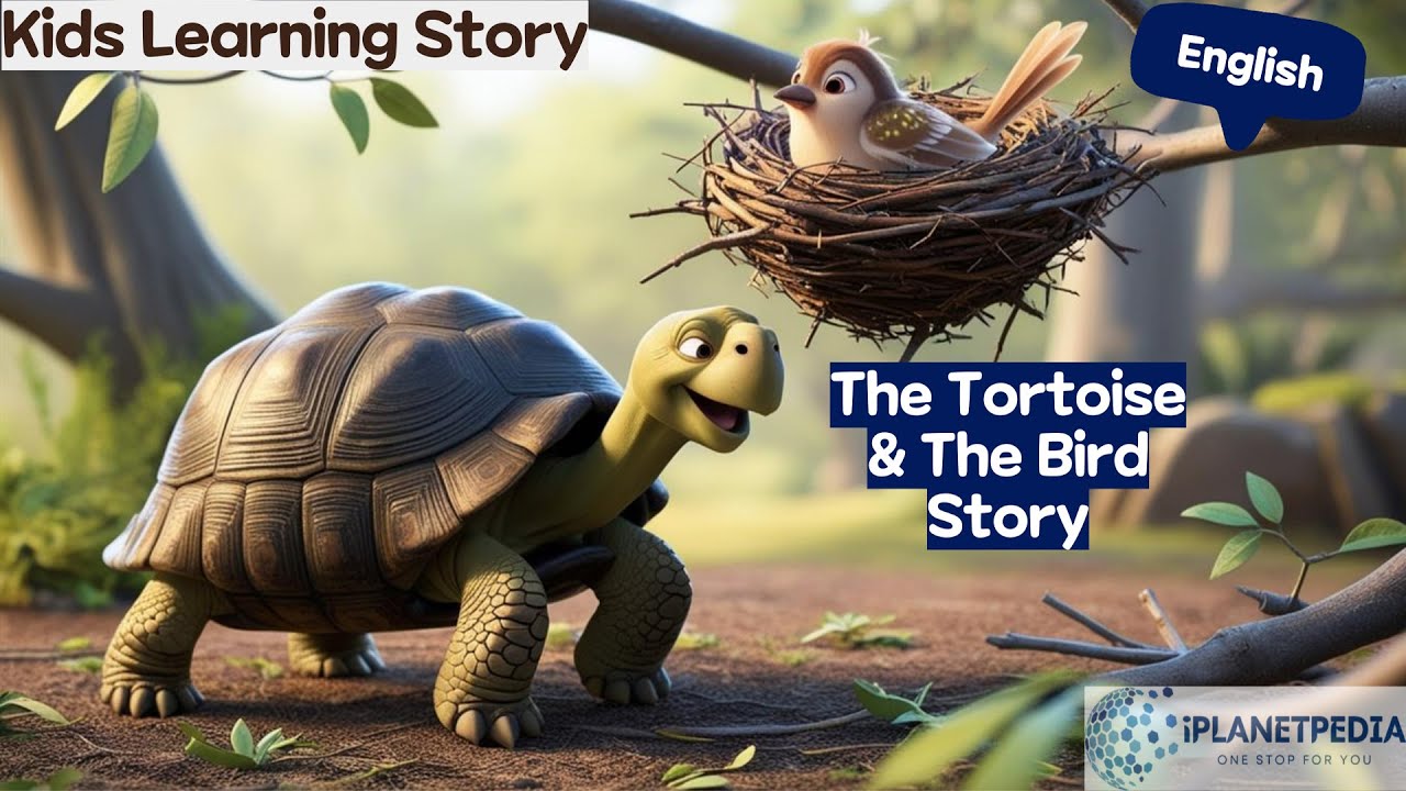 The Tortoise & The Bird | Moral Story | Learning Story | Bed Time Story ...
