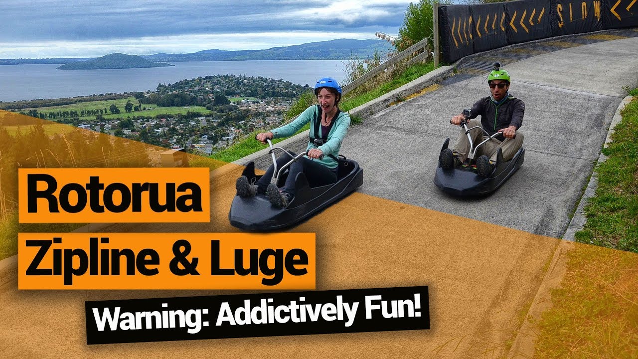 🏎️ Skyline Zipline & Luge in Rotorua – New Zealand's Biggest Gap Year ...