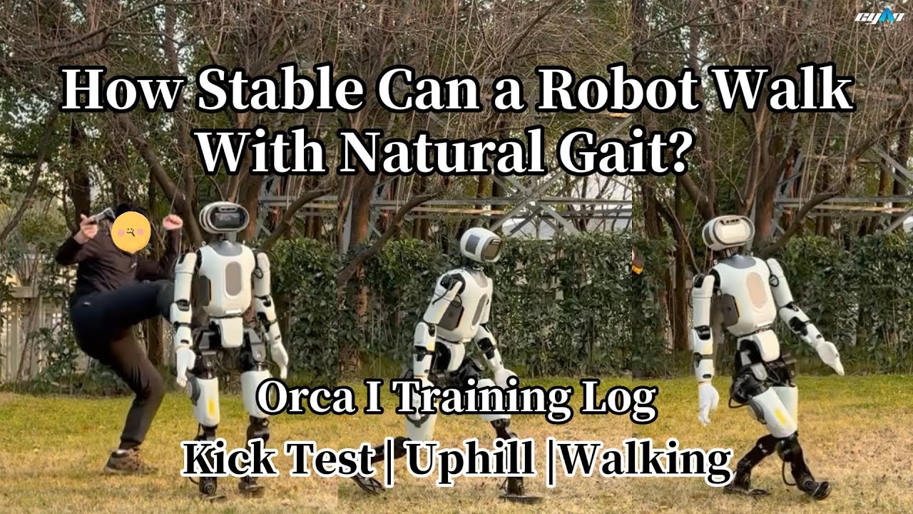 How Stable Can a Robot Walk With Natural Gait? - YouTube