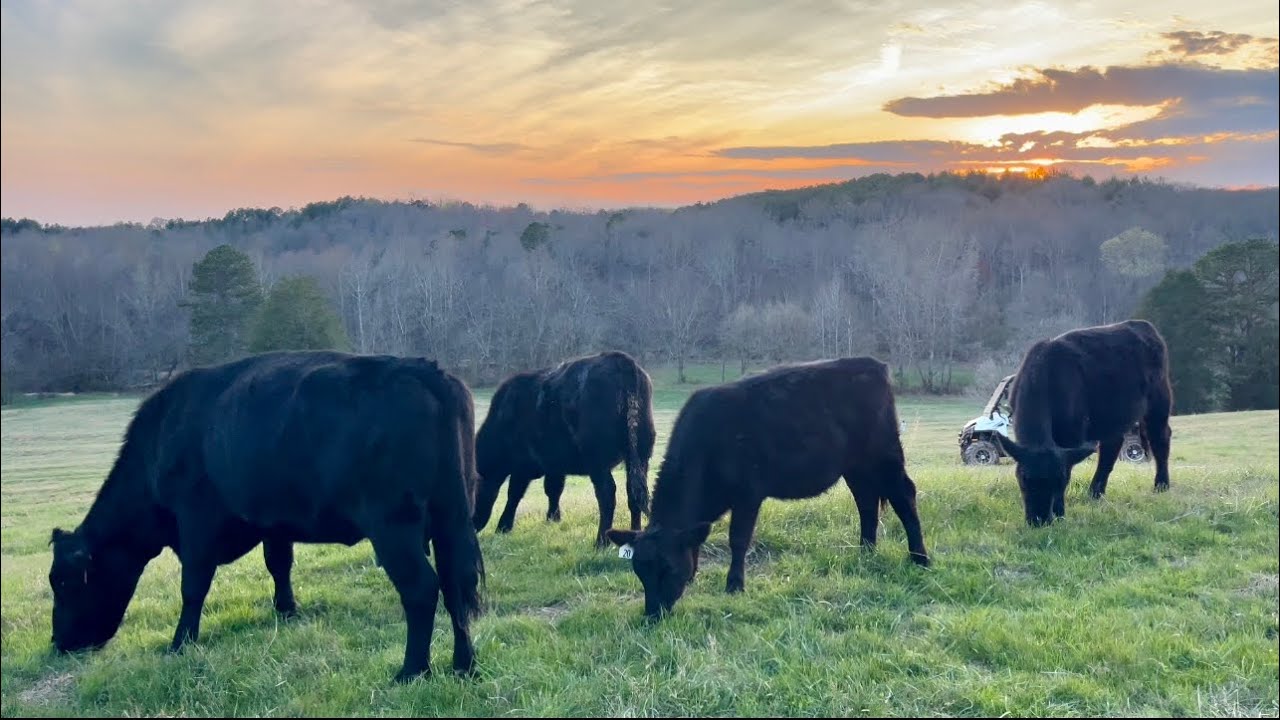 40 Acre Farm Fence Project—part 2 of 2 - YouTube