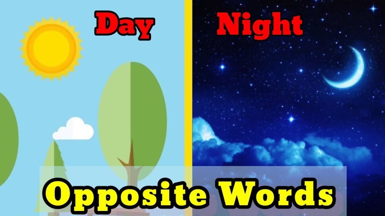 Opposite Word In English Opposite Word Opposite YouTube opposite-word-in-english-opposite-word-opposite-youtube