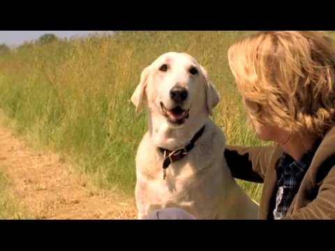 Marley & Ich - Trailer