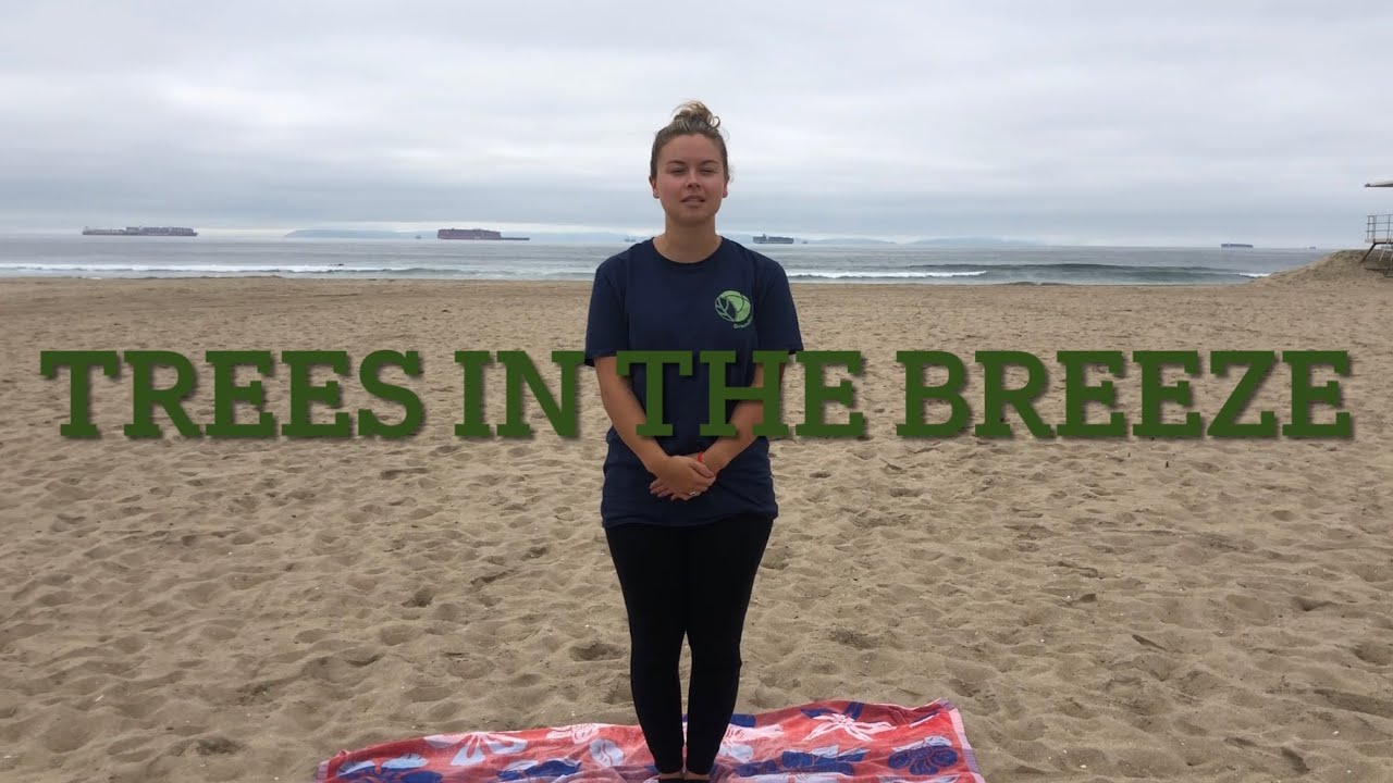 Ground Education - Mindfulness Exercise: Trees in the Breeze - YouTube