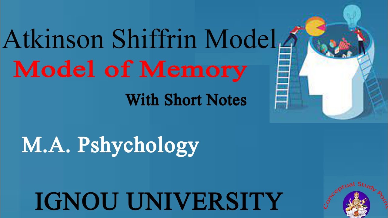 Atkinson And Shiffrin's Model The Stage Model || Ignou University - YouTube