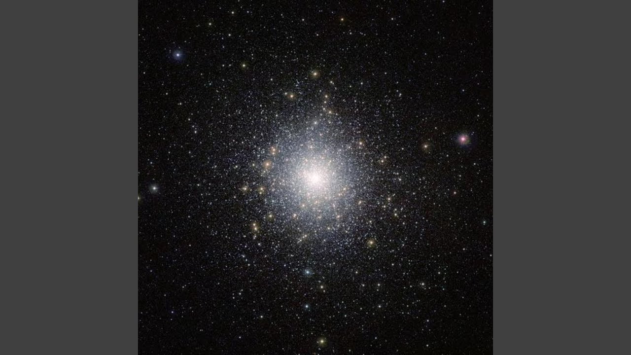 Gully Creeper - YouTube