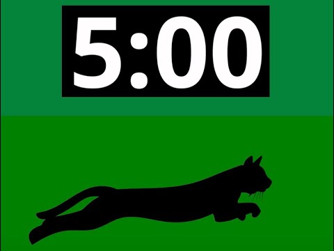 5 Minute Countdown Timer with Music | Animal Edition | Cat - YouTube