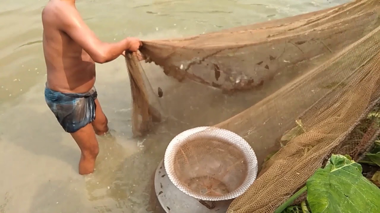 Big FIsh in Pond Caught with long net - YouTube