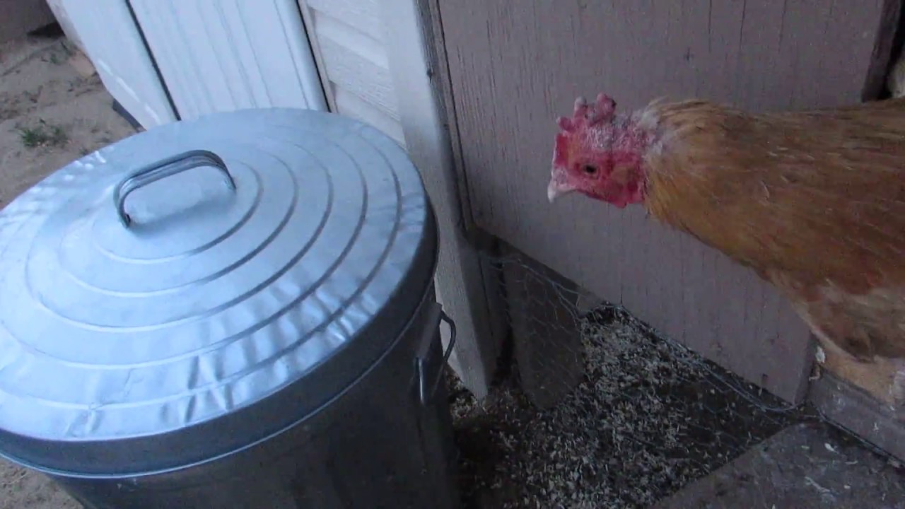 Garbage Can Chicken - YouTube