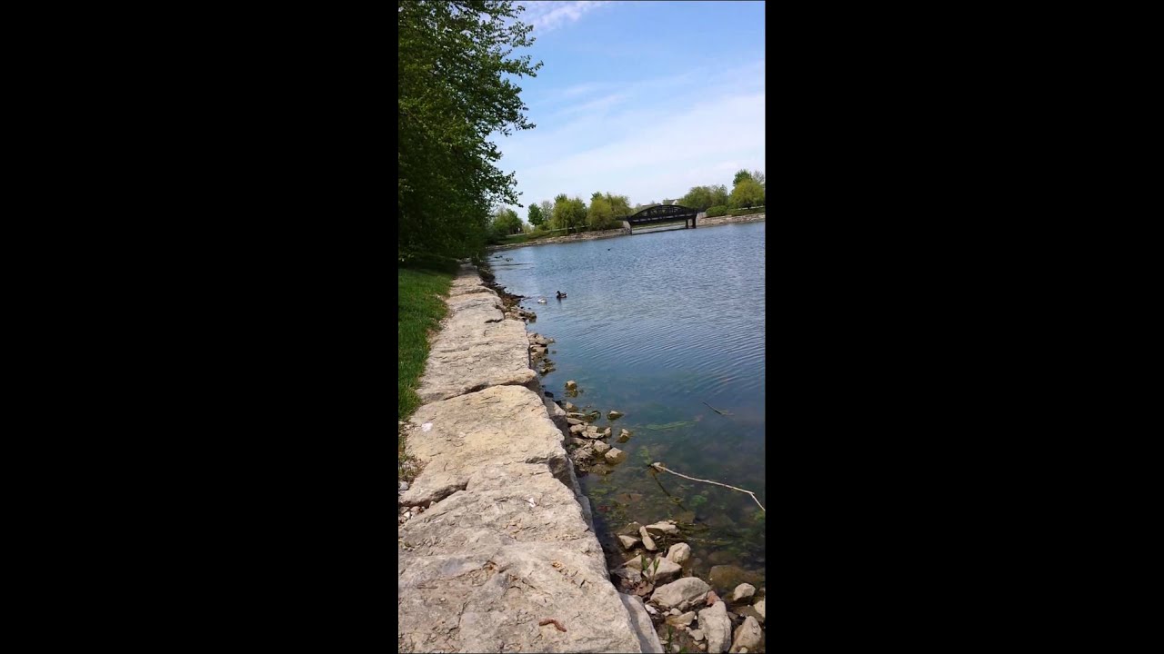 Duck diving head first into the mud - YouTube