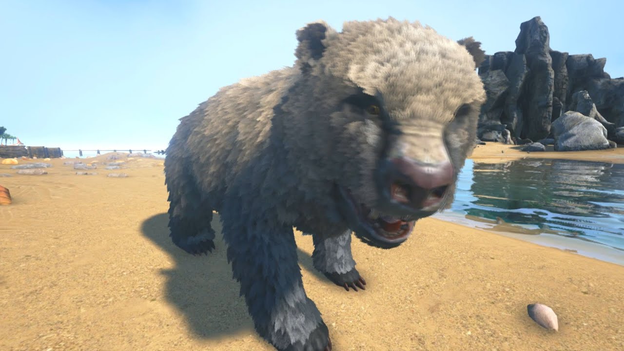 DIRE BEAR! - ARK SURVIVAL EVOLVED #20 with Vikkstar - YouTube