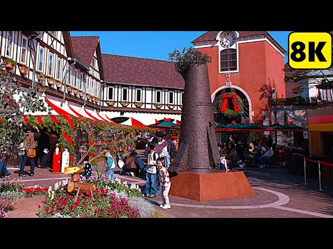 8K 30fps【神戸布引ハーブ園/2024】11/14(木)☆コスモスなど - YouTube