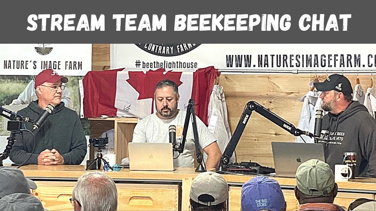 STREAM TEAM BEEKEEPING CHAT - Let's Talk About BEES! - YouTube