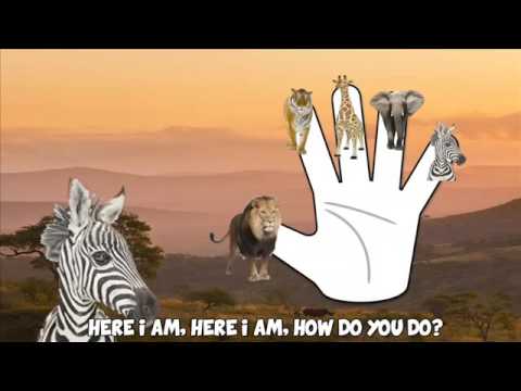 Finger Family   Wild Animals Lion Tiger Elephant Daddy Finger Nursery Rhyme Song For Kids