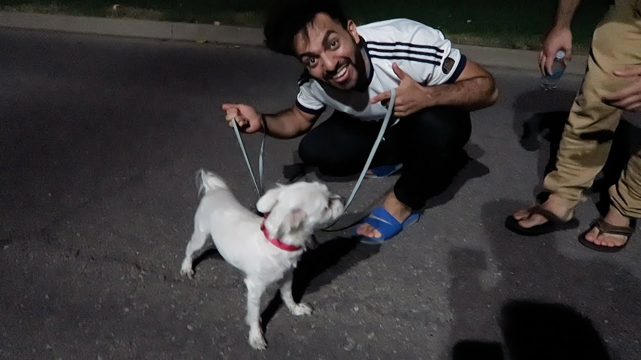 HE GOT A DOG || RAMADAN 2017 - YouTube
