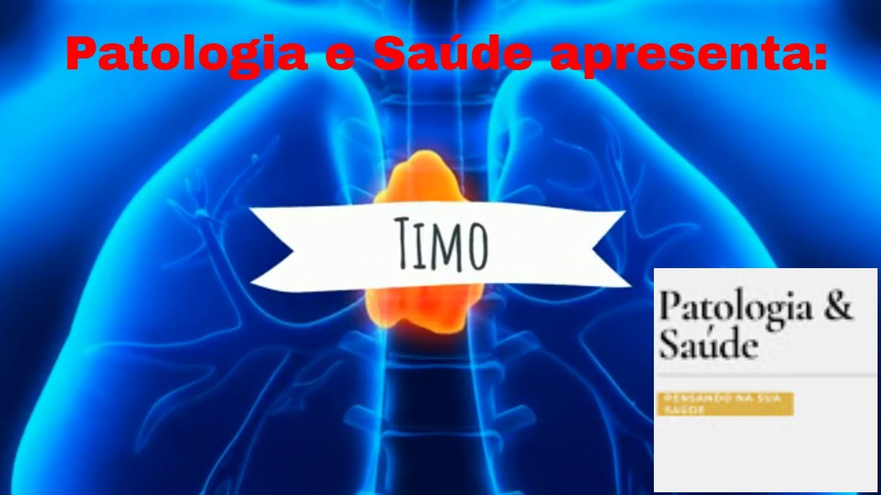 Histologia dos órgãos do Sistema Imune - Timo - YouTube