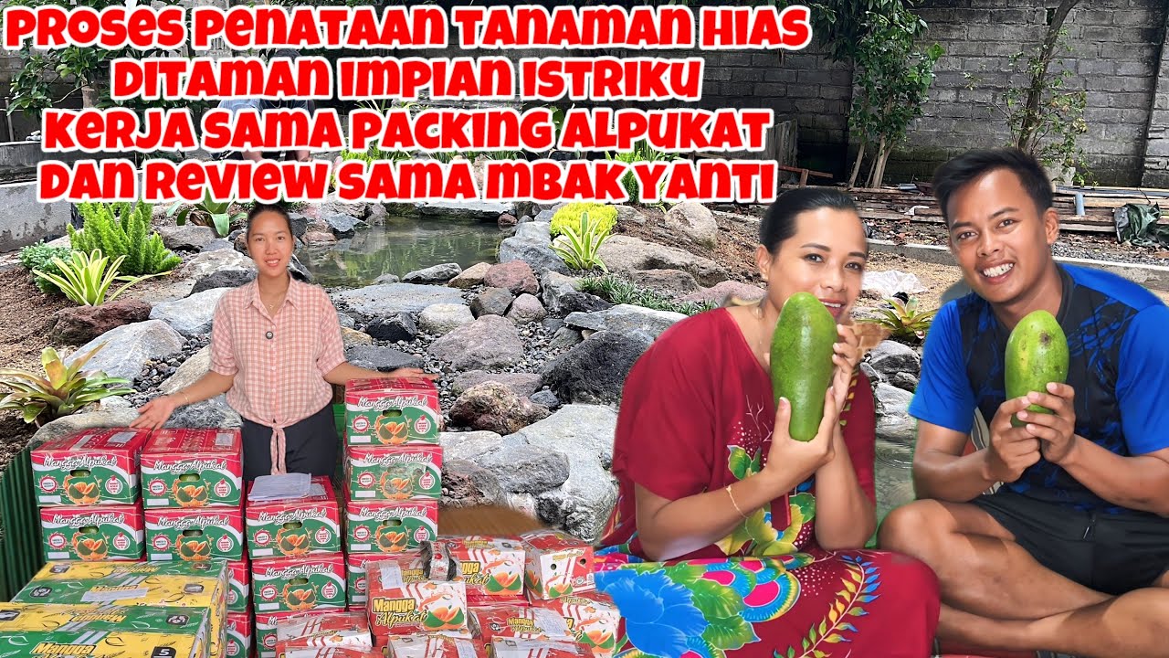 PROSES PENATAAN 10 jenis TANAMAN HIAS DIRUMAHKU DAN PACKING ALPUKAT ...