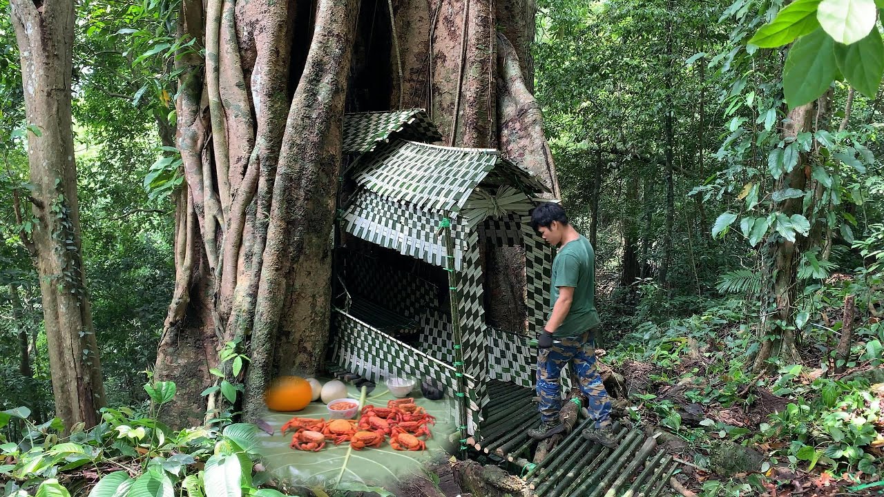 Build a shack under a giant tree, eat wild mountain crabs - YouTube