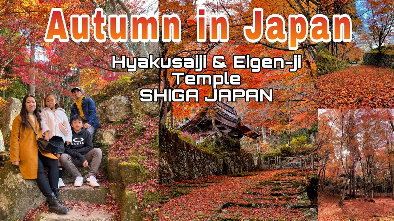 Autumn in Japan|Hyakusaji Temple|Eigen-ji Temple|SHIGA JAPAN - YouTube